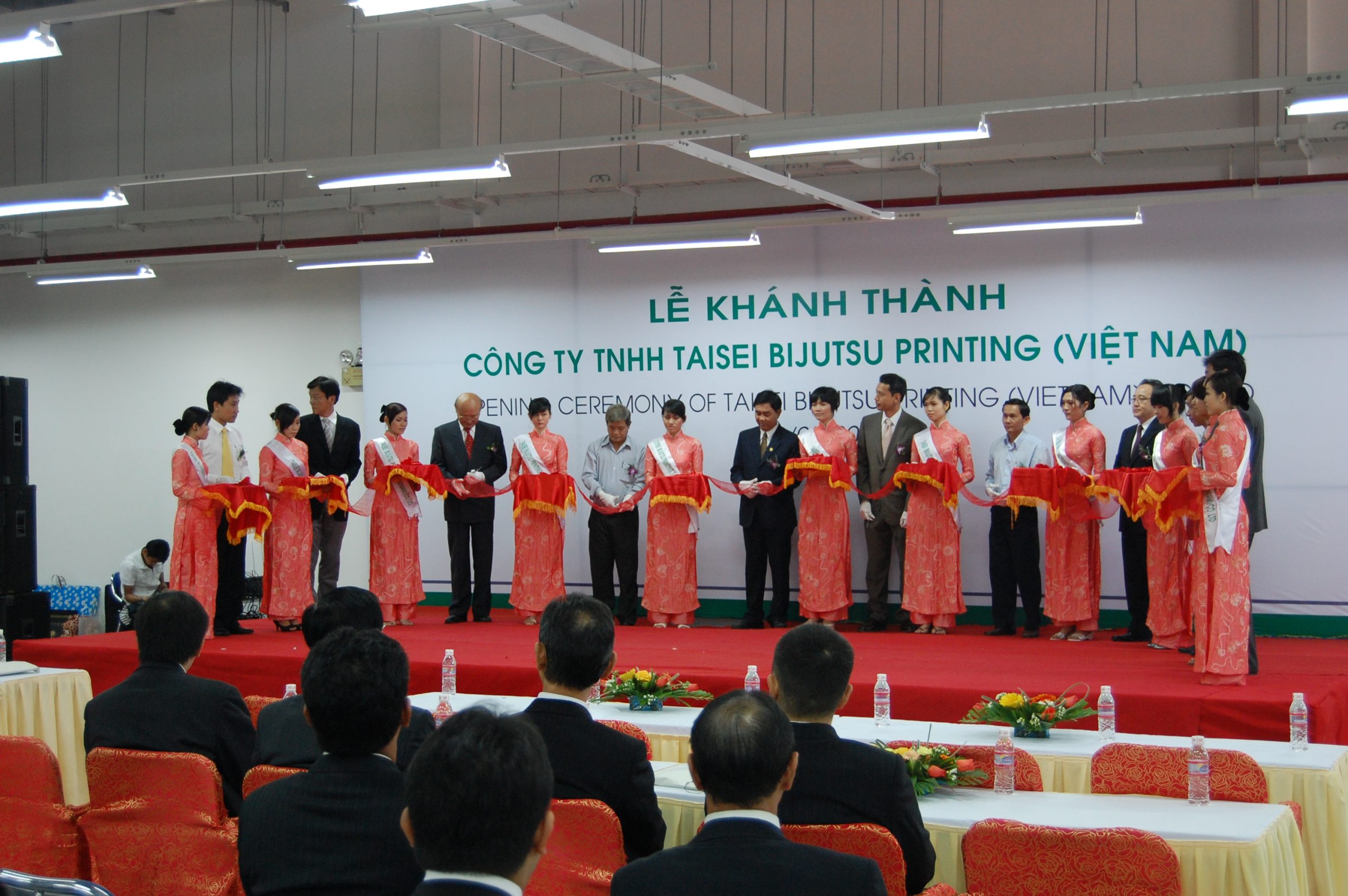 Lịch sử hình thành - Taisei Bijutsu Printing